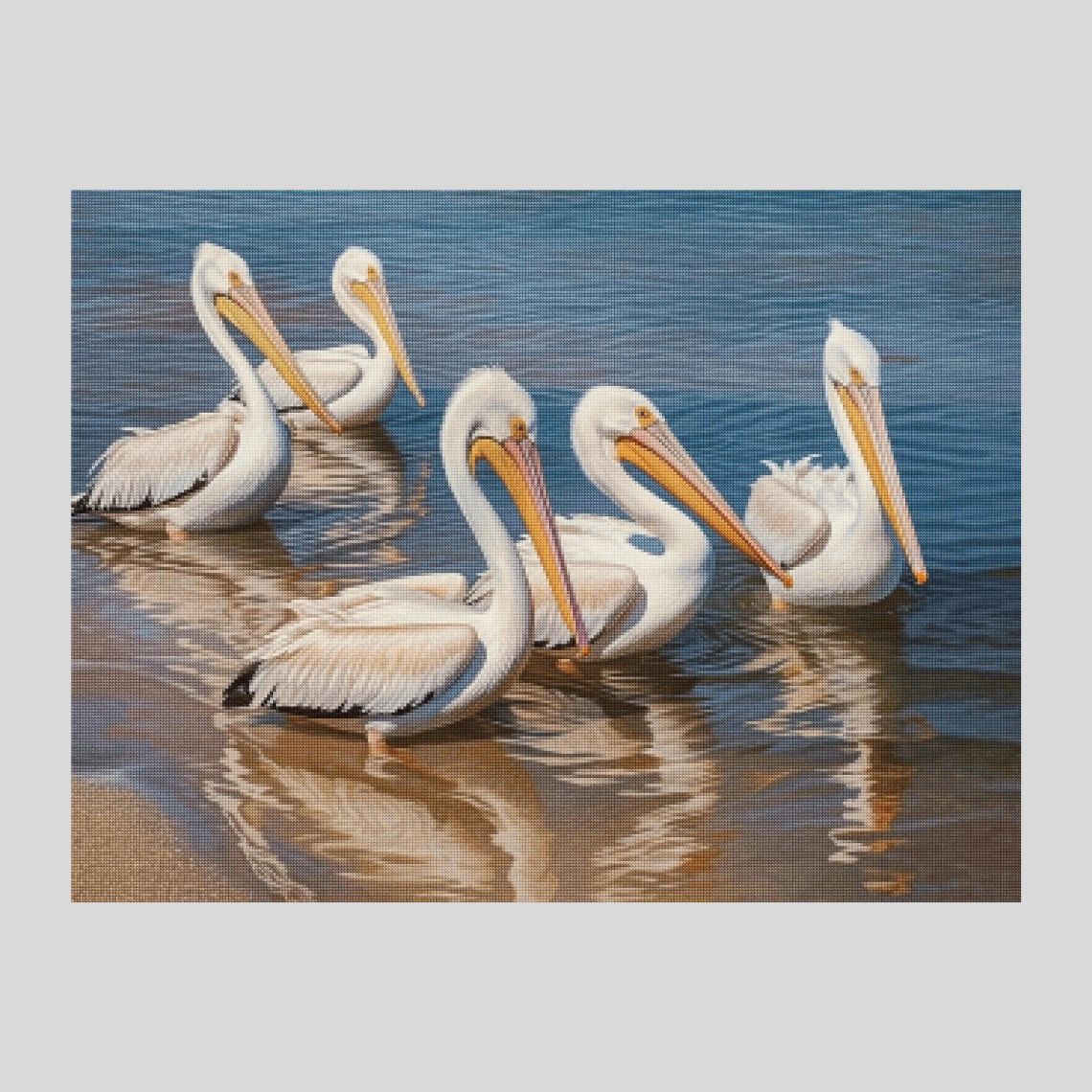 Pelicans - Diamond Art World – Diamond Art World Kits